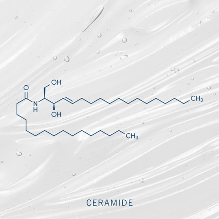 Ingredient Spotlight: Ceramides - Advanced Nutrition Programme™