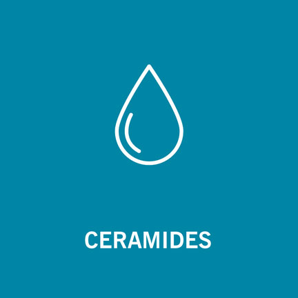 Ingredient Spotlight: Ceramides - Advanced Nutrition Programme™